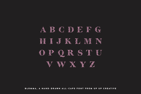 Blomma, A Hand-Drawn Display Serif Font for Monograms, Logos, and ...