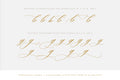 Slight Script Font - Script Font - Up Up Creative