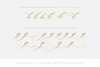Slight Script Font - Script Font - Up Up Creative