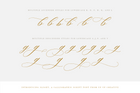 Slight Script Font - Script Font - Up Up Creative