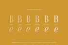Fifty Fifty Serif Font Family with Italics - Up Up Creative