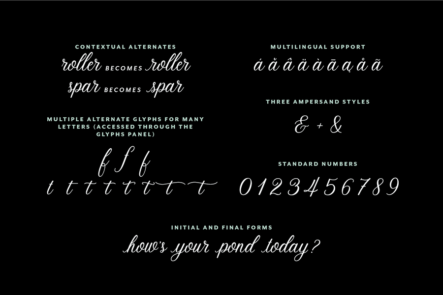 Stoic Script Font - Script Font - Up Up Creative