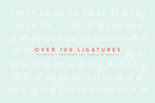 Ten Pounds, a Hand-Drawn Serif Font - Up Up Creative