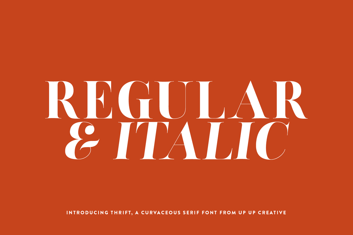 Thrift Serif Font Family – Up Up Creative